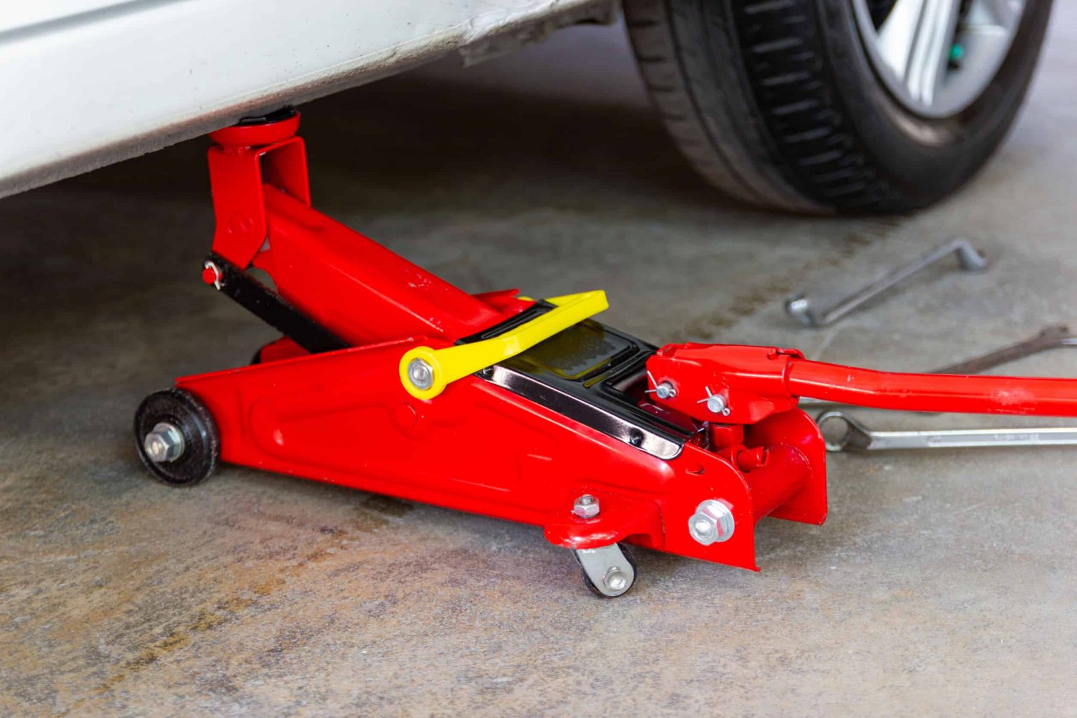 Gato de Coche - Coches